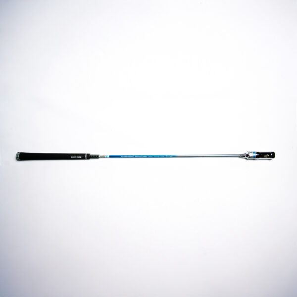 Swing Caddy Training Aid - easiestswing.com