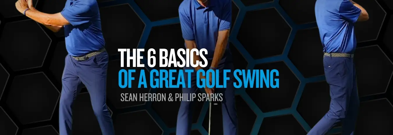 6 Basics Of A Great Golf Swing Video Course - easiestswing.com